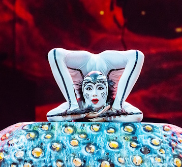 CIRQUE DU SOLEIL | OVO